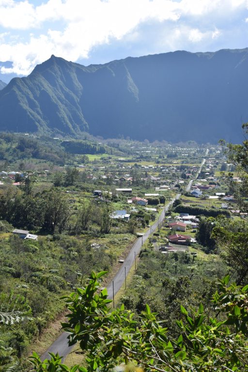 17. La plaine des Palmistes