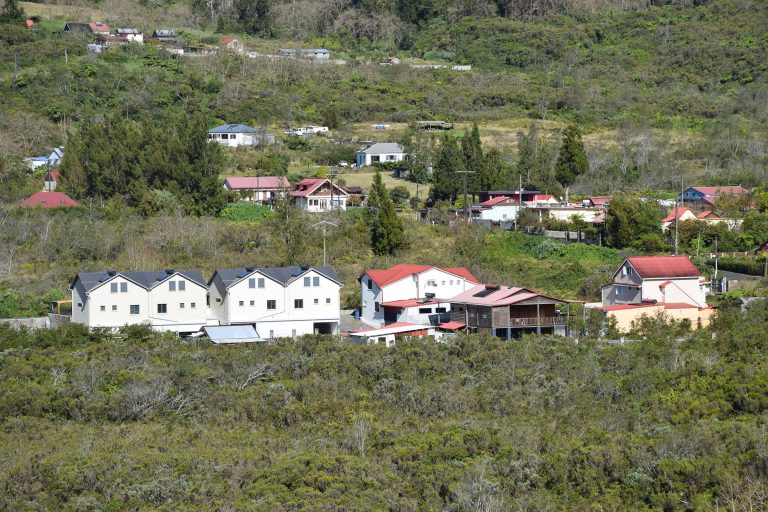 17. La plaine des Palmistes
