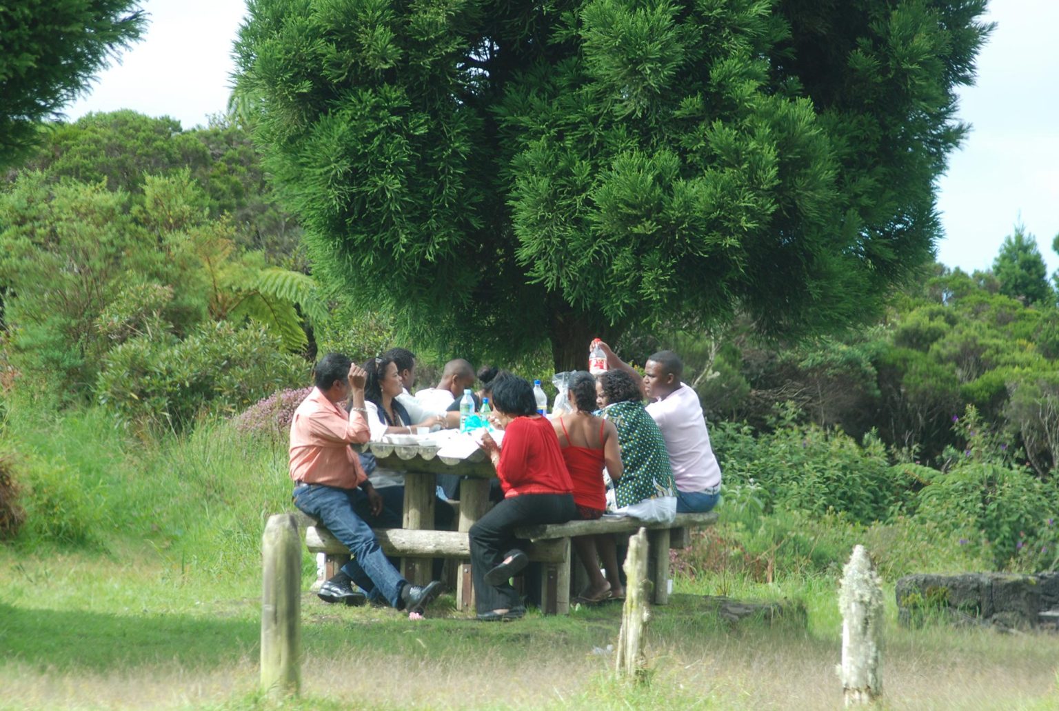 16. La plaine des Cafres