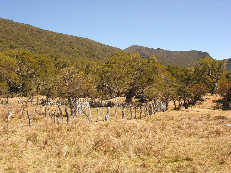 15. Le massif du Piton de la Fournaise