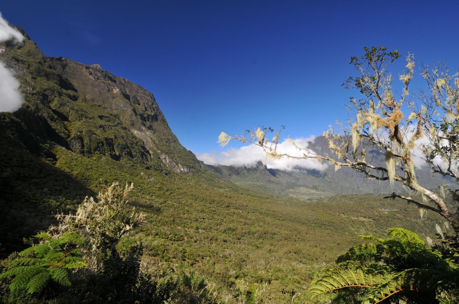 Les paysages, la forêt et les espaces naturels