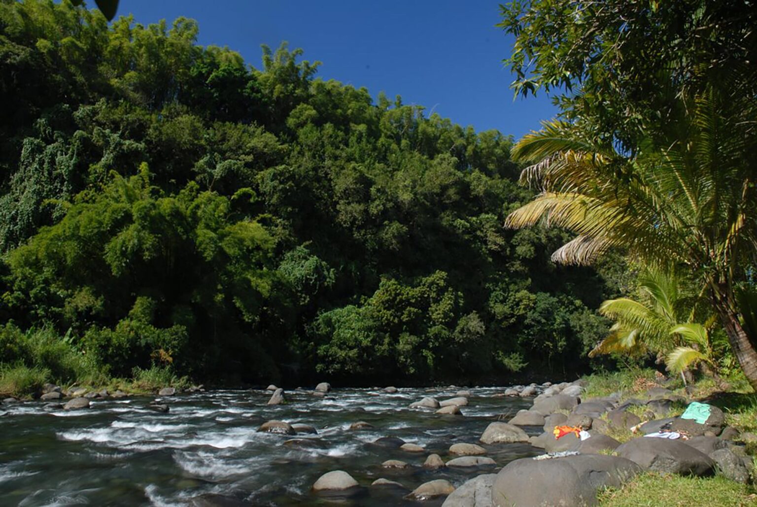 Les paysages, la forêt et les espaces naturels