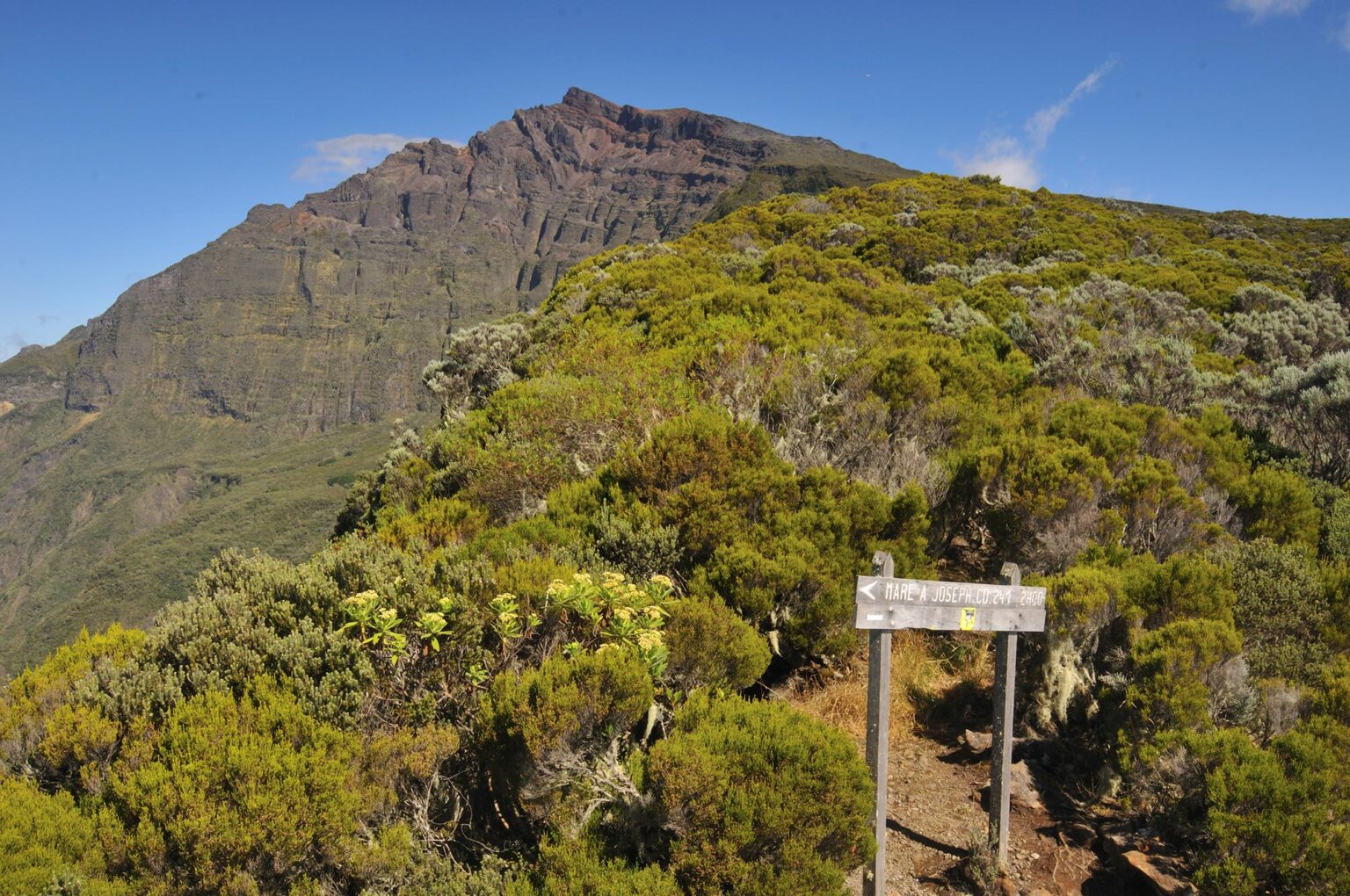 Les paysages, la forêt et les espaces naturels