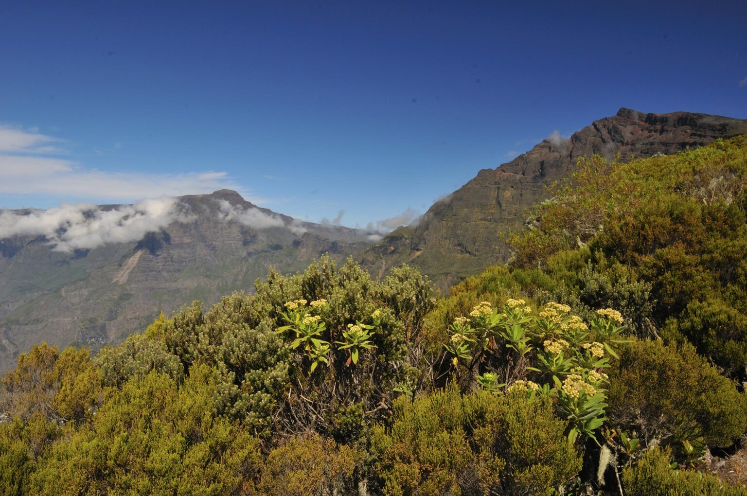Les paysages, la forêt et les espaces naturels
