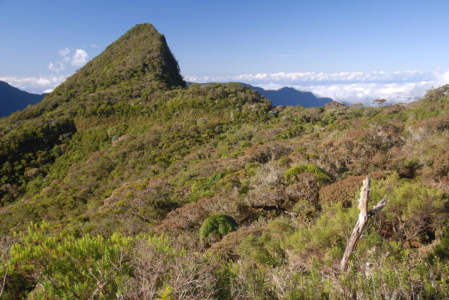 Les paysages, la forêt et les espaces naturels