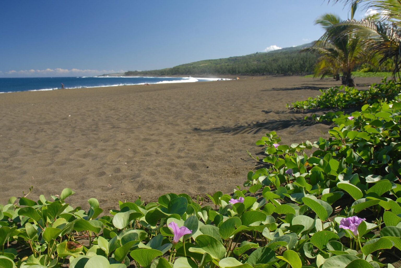 Les paysages, la forêt et les espaces naturels